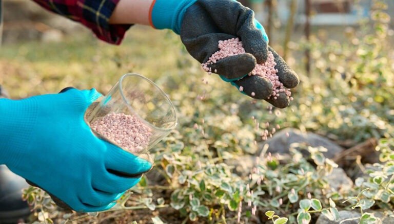 Best Uses for NPK 16-16-16 Fertilizer