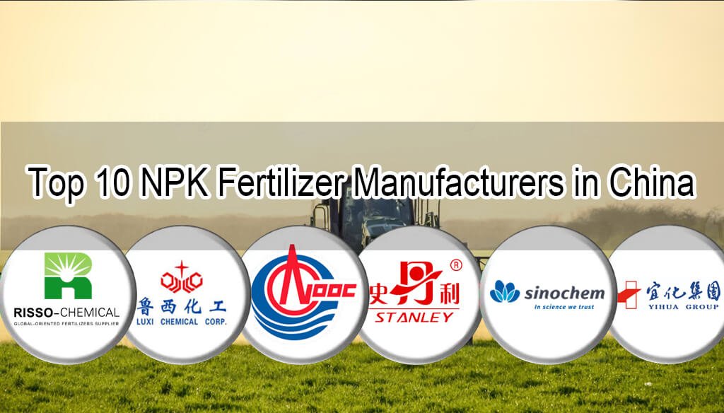 Top 10 NPK Fertilizer Manufacturers in China | Risso Fertilizer