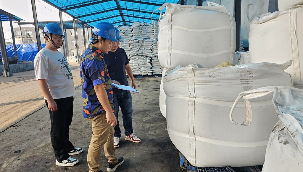 NPK 20-10-10 Complex Fertilizer for Strong Vegetative Growth