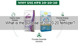 What is the purpose of 20-20-20 fertilizer? | Risso Fertilizer