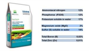 A Comprehensive Guide to NPK 12-12-17+TE Fertilizer | Risso