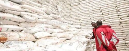 NPK Fertilizer/Humic Acid Leading Brand, DAP, MAP | RissoChemical ...